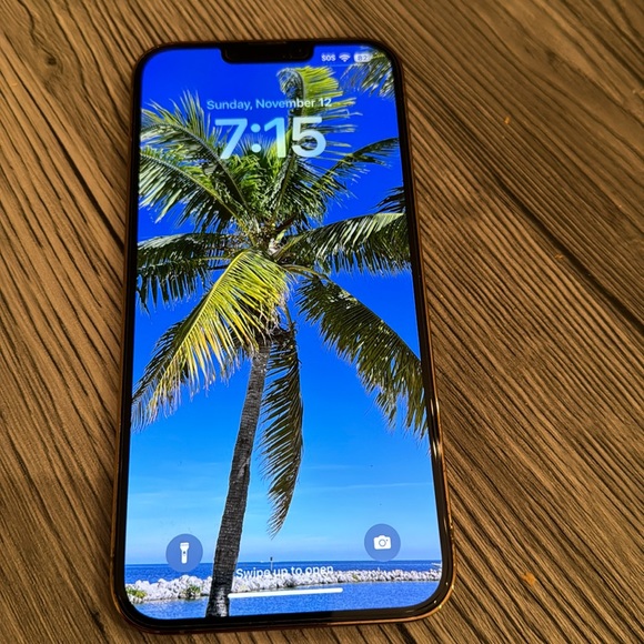 Apple | Cell Phones & Accessories | Iphone 3 Pro Max 1 Tb Storage | Poshmark